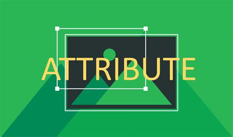 How To Create Image Attribute For Category In Magento 2 Magepow Blog