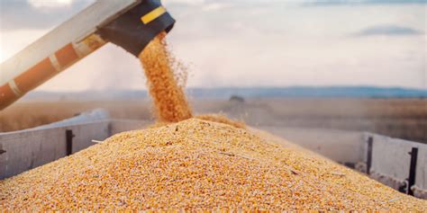 Key Heavy Equipment For Harvesting Corn Equipment Trader Blog
