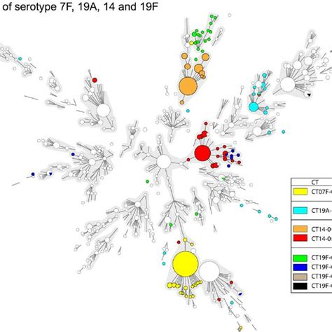Minimum Spanning Trees Of The Results Obtained By Mlva Of 4 Major
