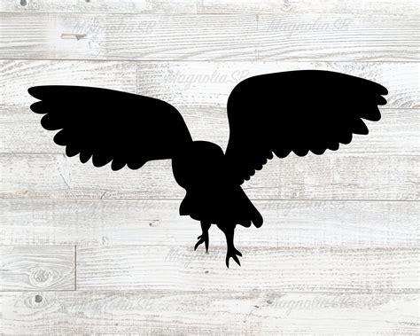 Flying Owl Png