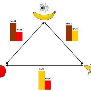 Sex Comb In Drosophila Melanogaster Male A Front Leg With Sex Comb Download Scientific