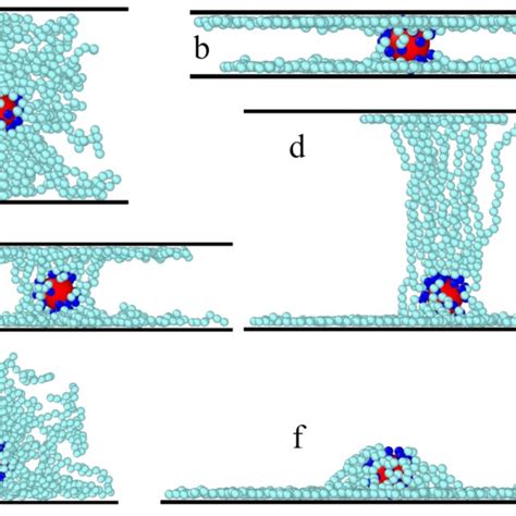 Colour Online Examples Of The Equilibrium Configurations Of Hairy