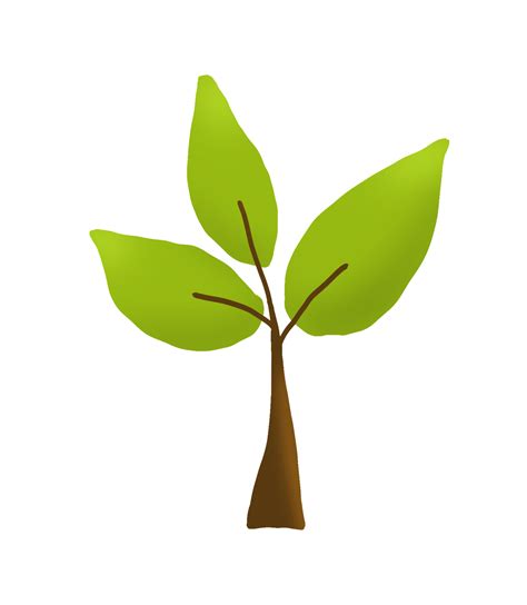 Tree Nature Leaf PNG