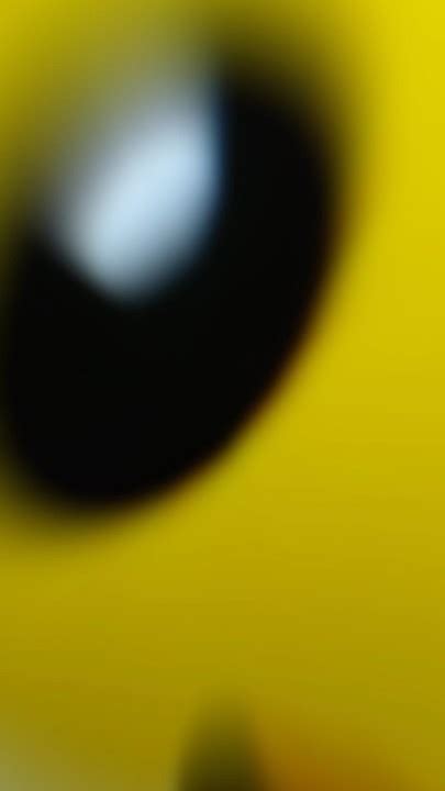 Manas Kumar On Linkedin Sheryianscodingschool Sheryianscodingschool Codebite Codebite2k23