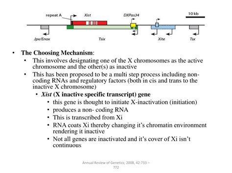 PPT X Inactivation PowerPoint Presentation Free Download ID