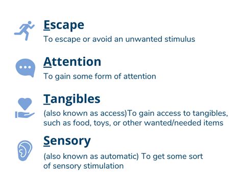 Talk The Talk Whats The Function Tangible Access And Sensory Automatic Functions Of Behavior