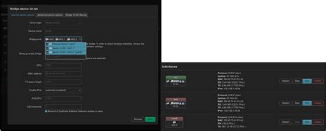 Understanding Wireless Device And Bridge Ports Installing And Using