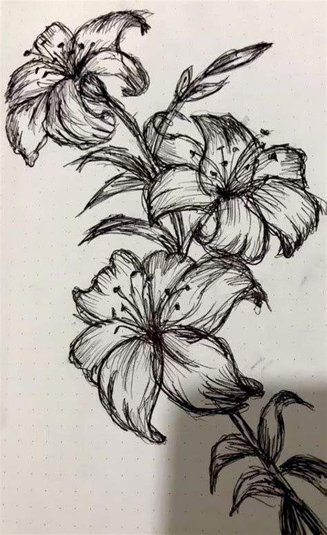 Pen Flower Drawing