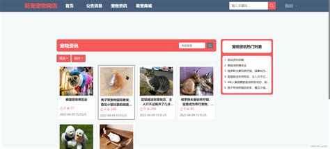 springboot萌宠宠物网店的开发与设计 毕业设计 附源码011042 springboot宠物代码 csdn博客