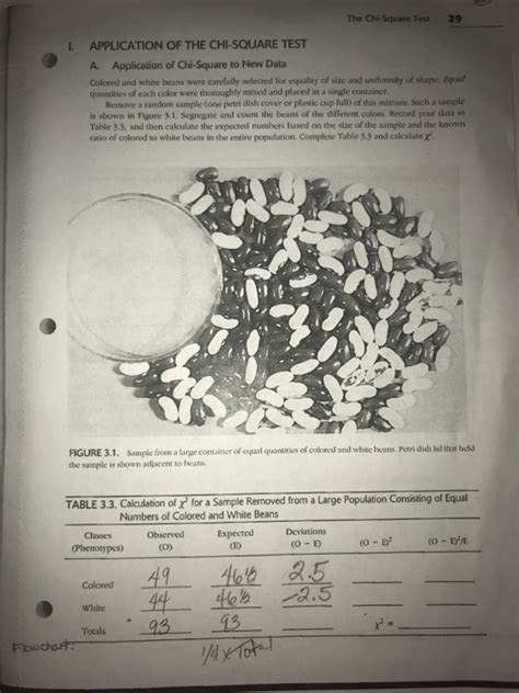Solved The Chi Square Test APPLICATION OF THE CHI SQUARE Chegg