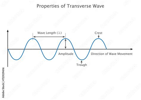 Properties Of Transverse Wave This Waves Oscillate Perpendicular To Wave Direction Stock