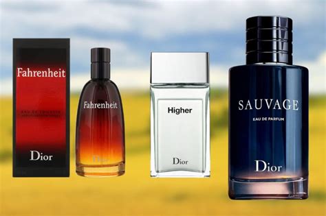 Aromas Que Impresionan Perfumes Dior De Hombres