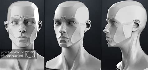 Free Female Planar Anatomy Model Artofit