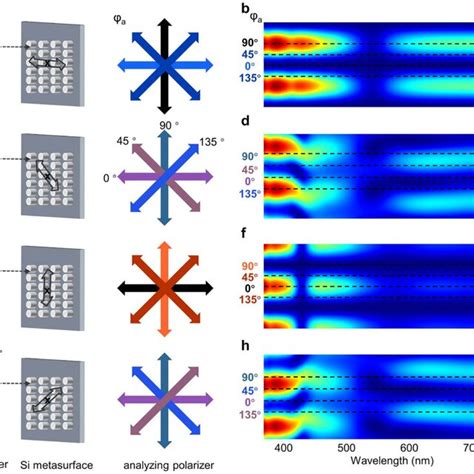 Simulated And Experimental Reflection Spectra Under A X And B Download Scientific Diagram