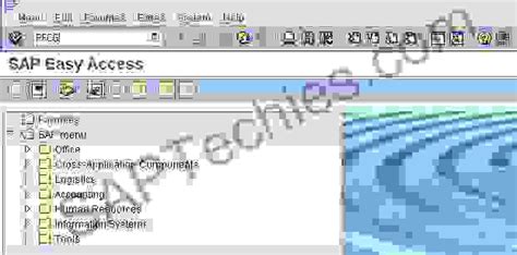 Pfcg Sap Roles And Authorizations Maintenance