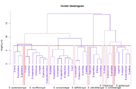 The Dendrogram And The Eight Groups Of Species Obtained By The