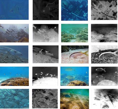 First And Third Column Shows The Degraded Underwater Images And The