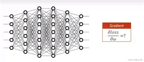 Pytorch反向传播算法Back Propagation torch 后向传播 CSDN博客