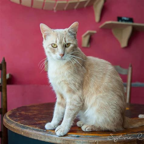 Laura10 Free Image Hosting Service