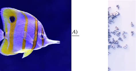 List Bayesian Curated By Dl Medium