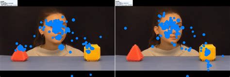 Figure 7 From Visual Attention Patterns During A Gaze Following Task In Neurogenetic Syndromes