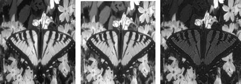 Figure 63 From Performance Evaluation Of The Masking Based Watershed Segmentation Semantic