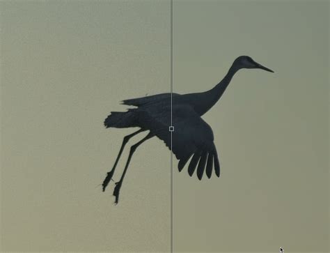 Three Tips For Image Noise Reduction Planet Photoshop