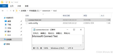 Windows奇技淫巧之【如何让你的电脑以为你能上网】enableactiveprobing Csdn博客