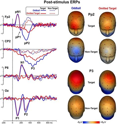 Left Erp Waveforms Of The Post Stimulus Responses To Non Target And