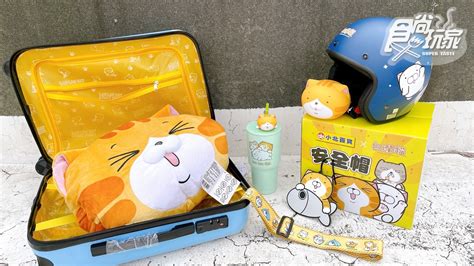 太燒了！小北百貨推5款「白爛貓」周邊，爛粉先收行李箱、冰霸杯、抱枕 食尚玩家