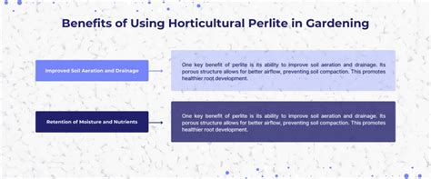 Horticultural Perlite Ultimate Guide To Uses And Benefits