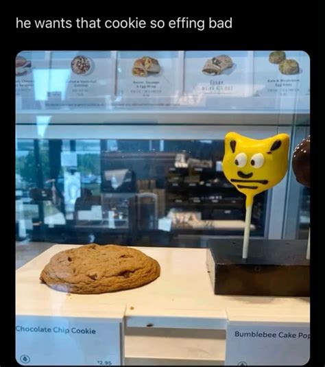 He Wants That Cookie So Effing Bad Meme Effing Chocolate Chip