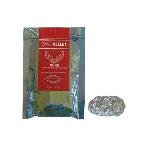 Dissecting Owl Pellets