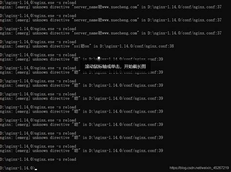 更新nginx配置报错unknown Directive 如何解决 Csdn博客