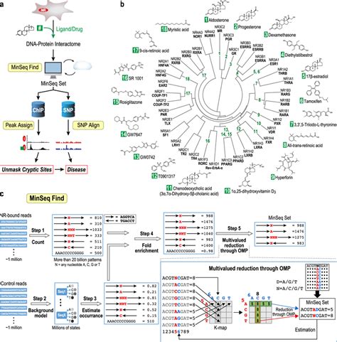 Strategy To Map The Full Compendium Of Human Nuclear Receptor Binding