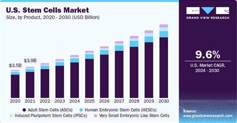 Stem Cells Market Size Share And Growth Report 2030