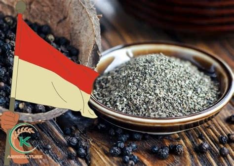 Pepper Export Situation In The World