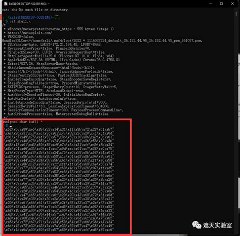 遮天 实战绕过卡巴斯基、defender上线cs和msf及动态命令执行遮天免杀 Csdn博客 遮天 实战绕过卡巴斯基、defender上线cs和msf及动态命令执行遮天免杀 Csdn博客