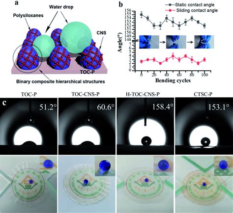 A Illustration Of Water Droplets On The Superhydrophobic Film B Download Scientific