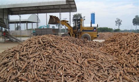 Introduction To Crop Processing 4 Fascinating Art Of Agricultural