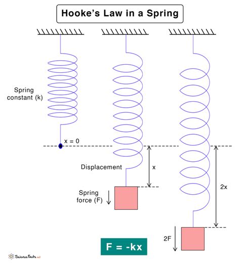 Hooke S Law And Elasticity At Christine Wright Blog