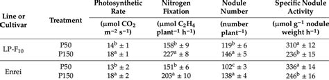 Effect Of Phosphorus Fertilization On Photosynthesis And Nitrogen