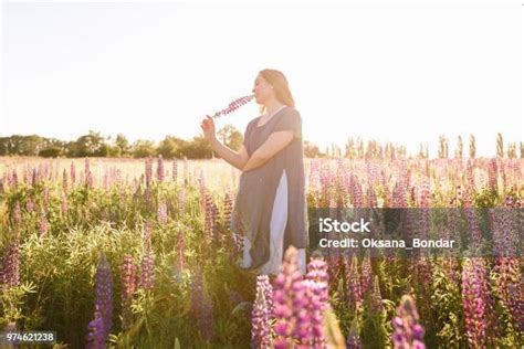 캐주얼 드레스에서 아름 다운 여자 석양 빛 맑은 하늘 배경과 킁 꽃에서 아래 피 보라 빛 세이 지 루피 너 스 필드에 서 검은색에 대한 스톡 사진 및 기타 이미지 Istock