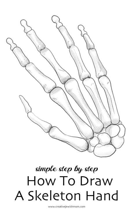 Bones Of The Hand Blank