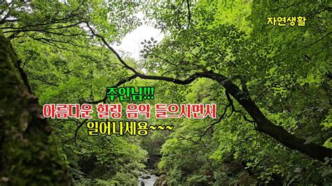 자연과 함께하는 힐링음악 주인님 아름다운 힐링 음악 들으시면서 일어나세요 Youtube