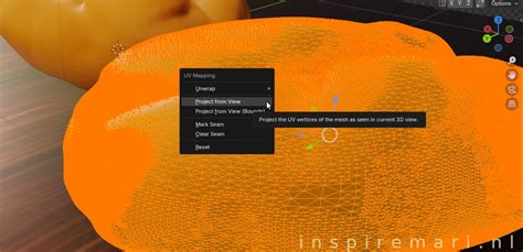 Blender Noise Texture Not Applied Properly • Inspiremarinl