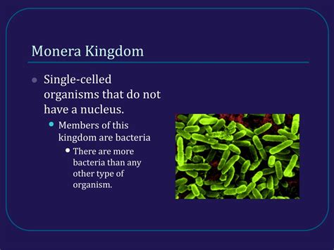 Ppt Classify Living Things Powerpoint Presentation Free Download