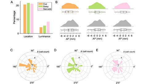 neuronal coding in the memory guided saccade task a percentages of