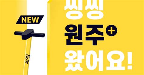 공유킥보드 씽씽 서울 부산 진주 이어 원주 진출