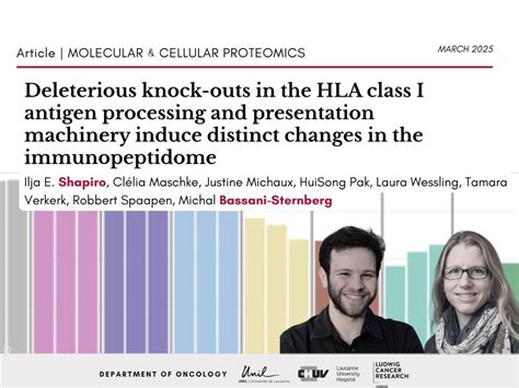 How Disrupting Hla Class I Antigen Processing Affects The Immunopeptidome Oncologie Unil Chuv
